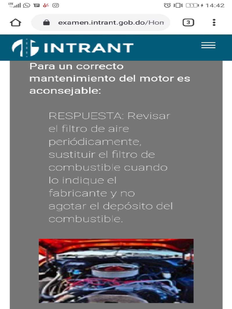 Intrant, Examen de Conducción, Respuesta Automatica | PDF