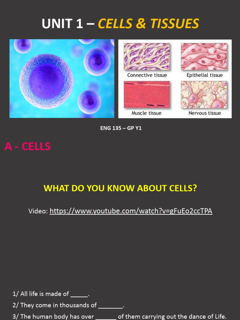 135 2021 U1 Cells-And-Tissues VOC | PDF | Tissue (Biology) | Human Body