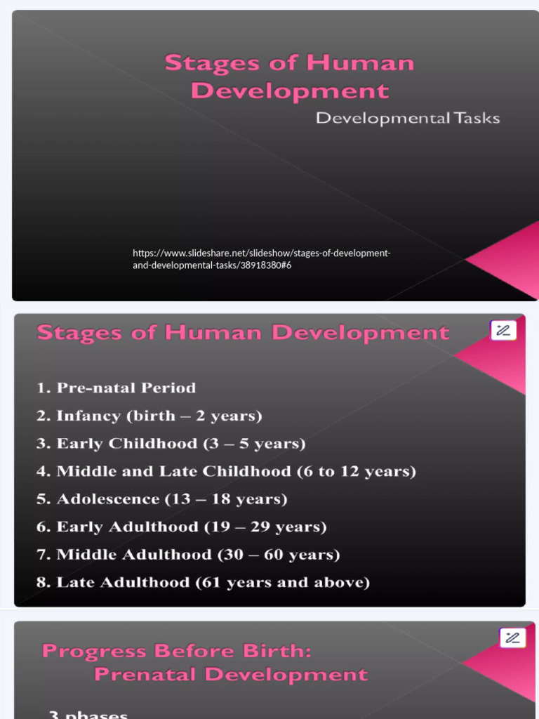 Key Developmental Stages | PDF