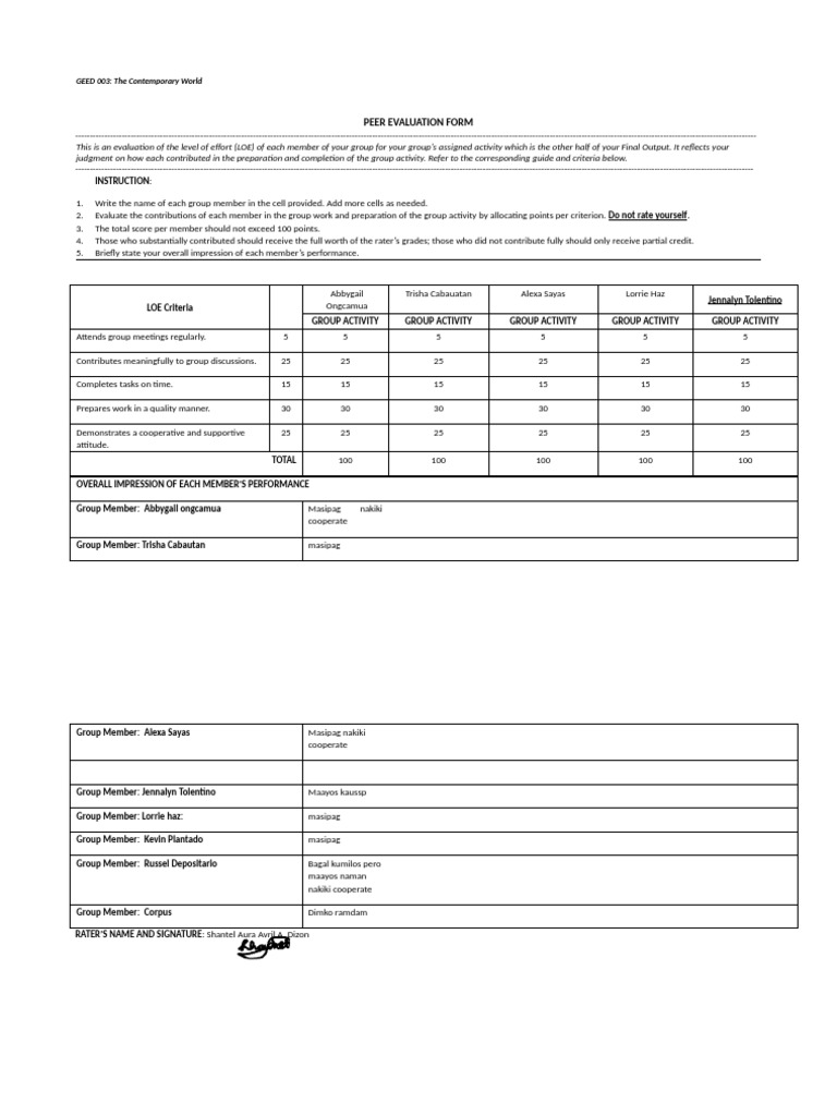 Peer Evaluation TEMPLATE | PDF