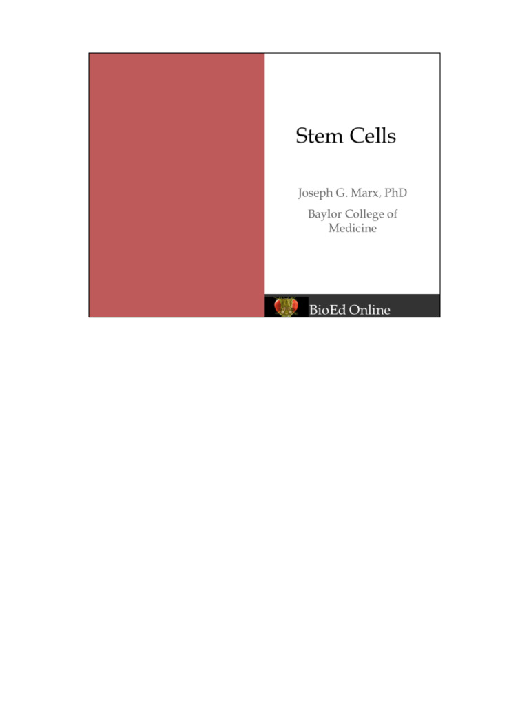 Stem Cells Slide + Handout | PDF | Cell Potency | Stem Cell