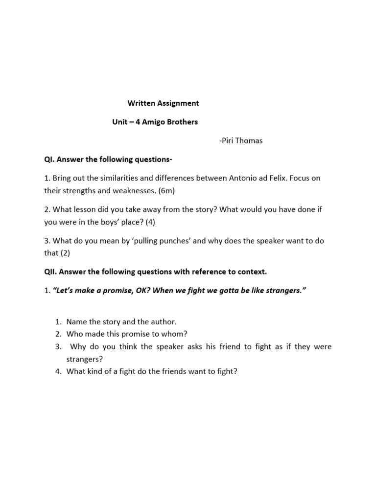 Amigo Brothers: Questions & Insights | PDF
