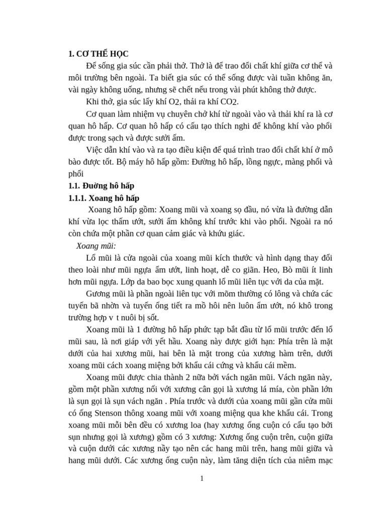 Cau Tao Chuc Nang He Ho Hap | PDF