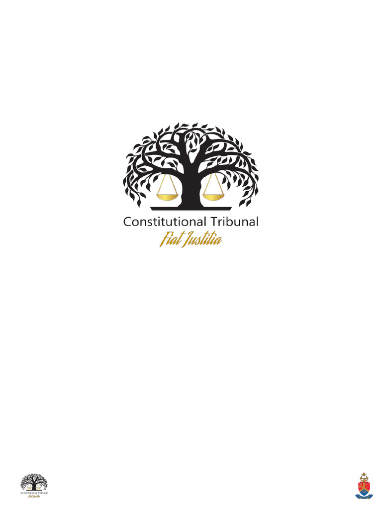 Constitution of the Student Court | PDF | Evidence (Law) | Tribunal