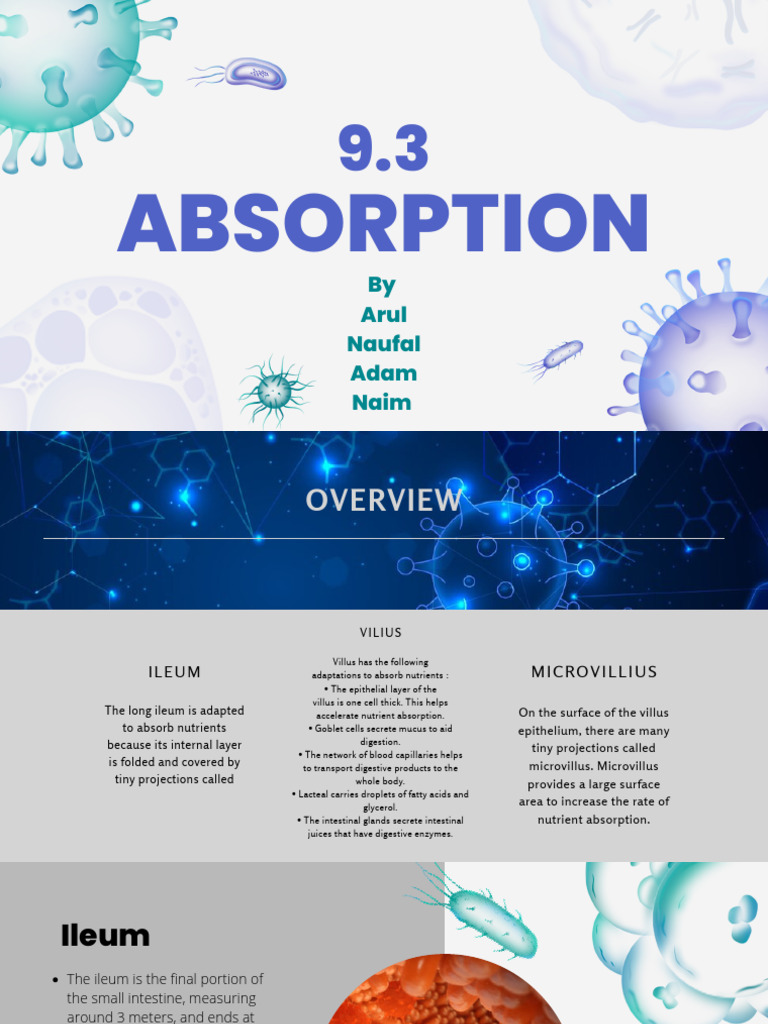Science Project Presentation | PDF | Small Intestine | Liver