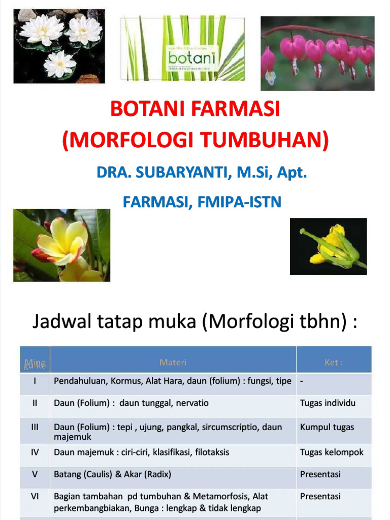 PDF Botani Farmasi Morfologi Revisi Compress | PDF