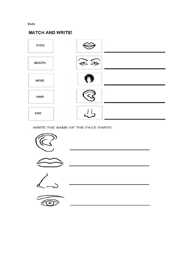 Body Parts | PDF