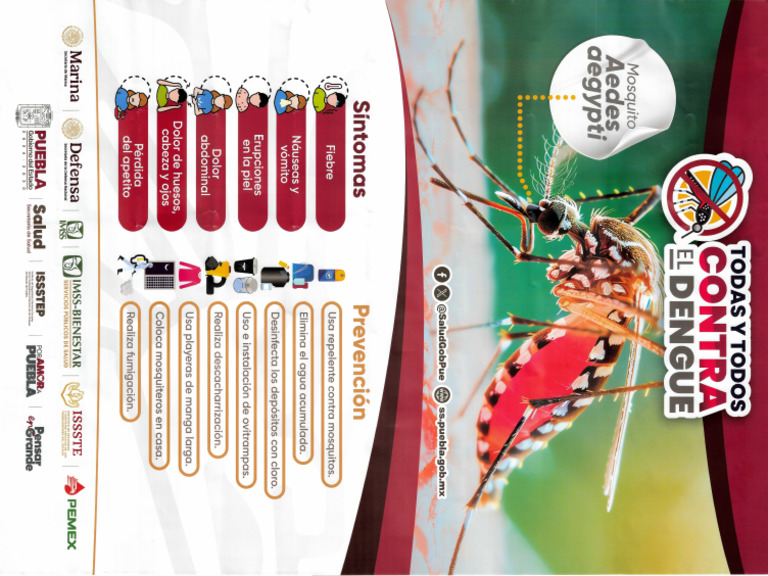 Cartel Todas y Todos CONTRA El DENGUE | PDF