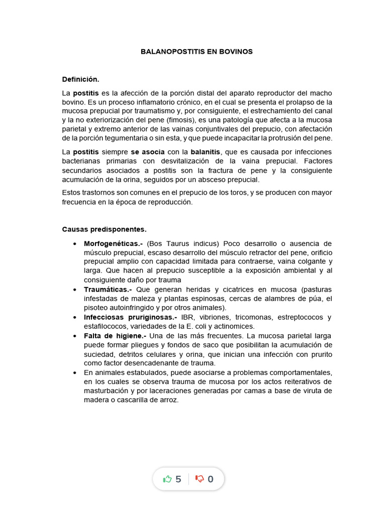 Balanopostitis en Bovinos - Compress | PDF | Especialidades Medicas | Enfermedades y trastornos