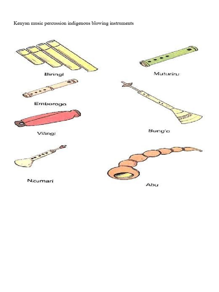 Kenyan Music Percussion Indigenous Blowing Instruments | PDF
