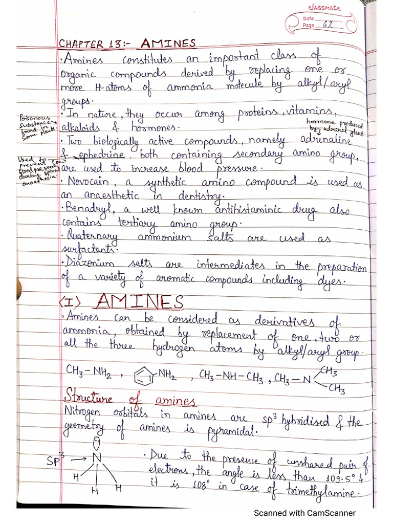 Amines Part 1 | PDF