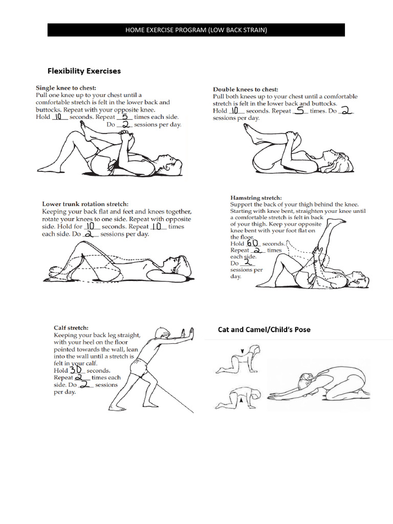 Low Back Strain Home Exercise Program | PDF