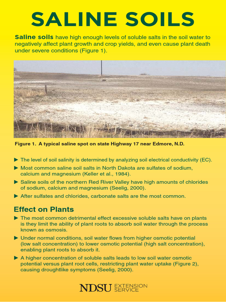 Saline Soils Brochure Extension 2012 | PDF | Soil | Salt (Chemistry)