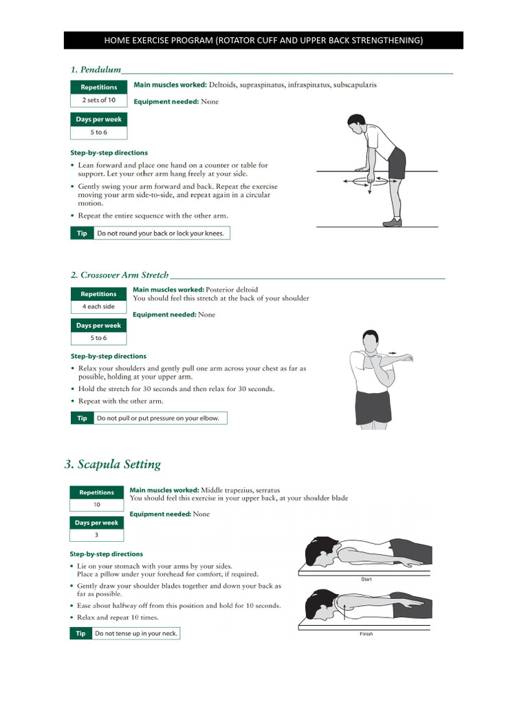 Rotator Cuff Home Exercise Program | PDF