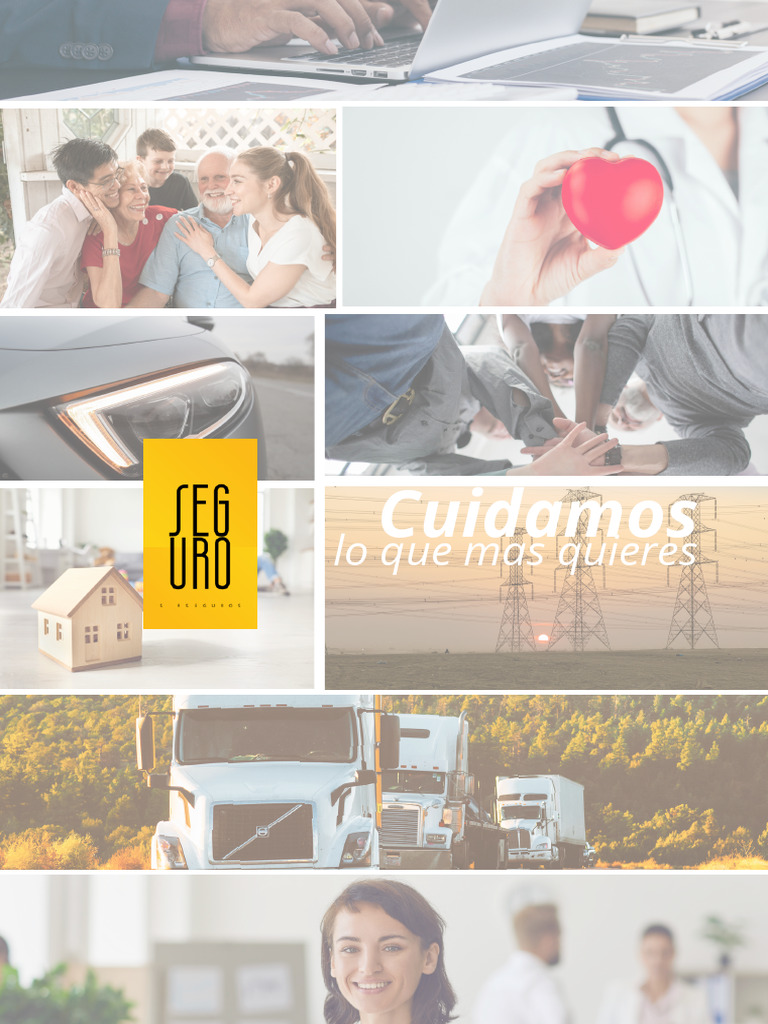 Portafolio SR Seguros | PDF | Seguro | Business