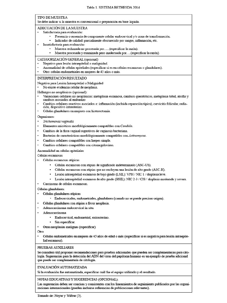 Sistema Bethesda 2014 | PDF