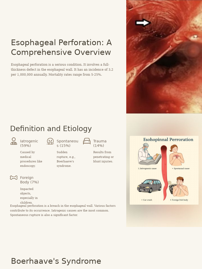 Esophageal Perforation A Comprehensive Overview | PDF | Diseases And ...