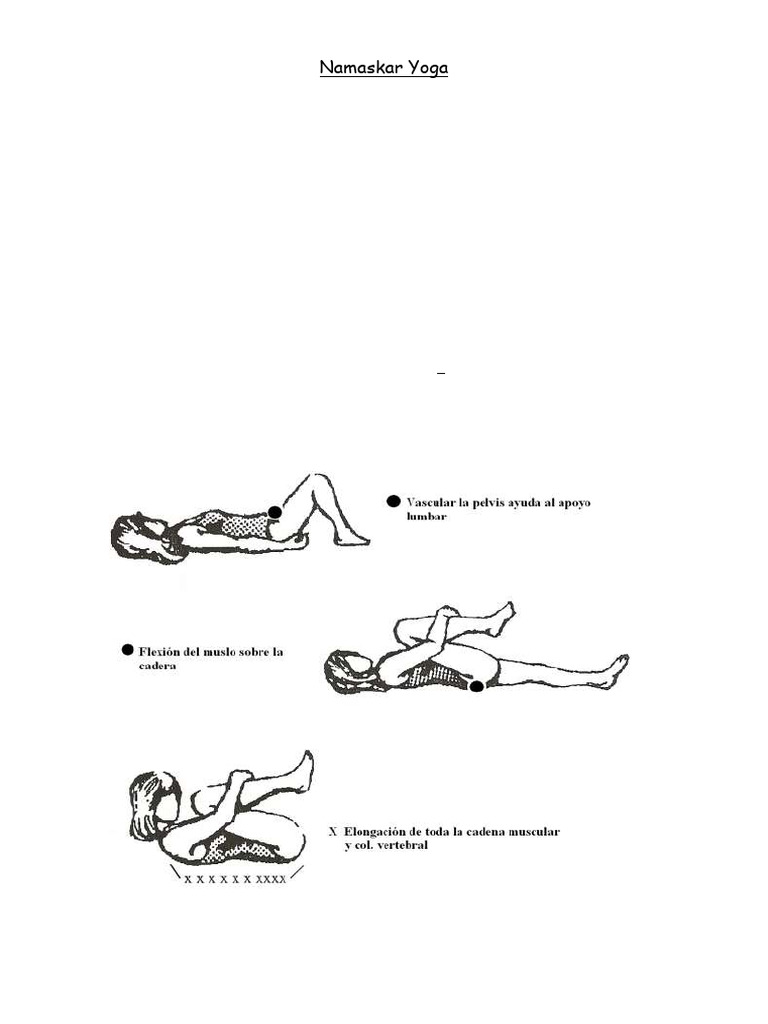 Saludo del Osito en Namaskar Yoga | PDF