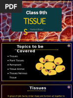 Tissues - PPT - Grade 9 | PDF | Epithelium | Tissue (Biology)