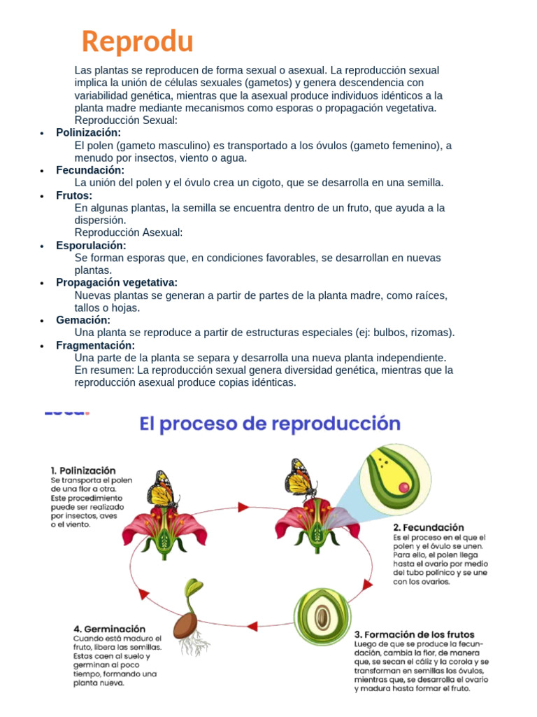 Las Plantas Se Reproducen de Forma Sexual o Asexual | PDF