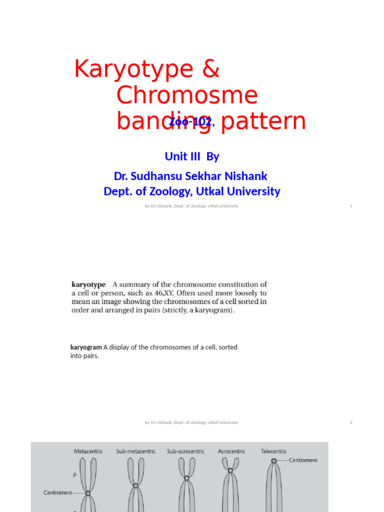 Karyotyping Chromosome Banding | PDF | Karyotype | Chromosome