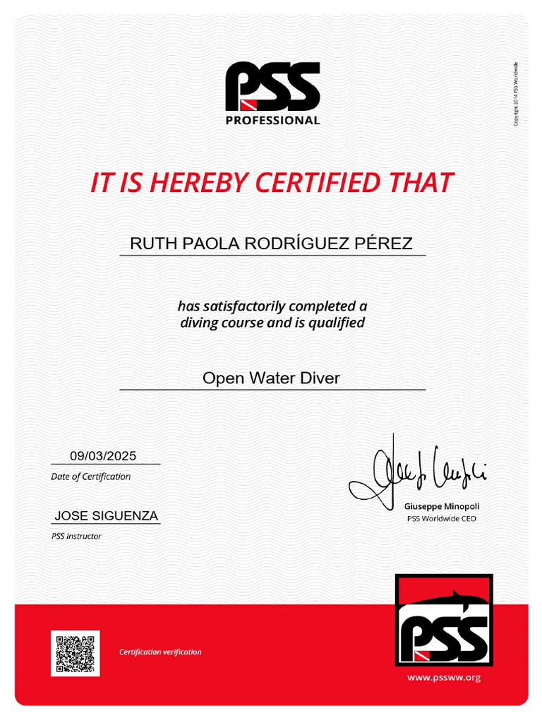 Diploma Pss | PDF
