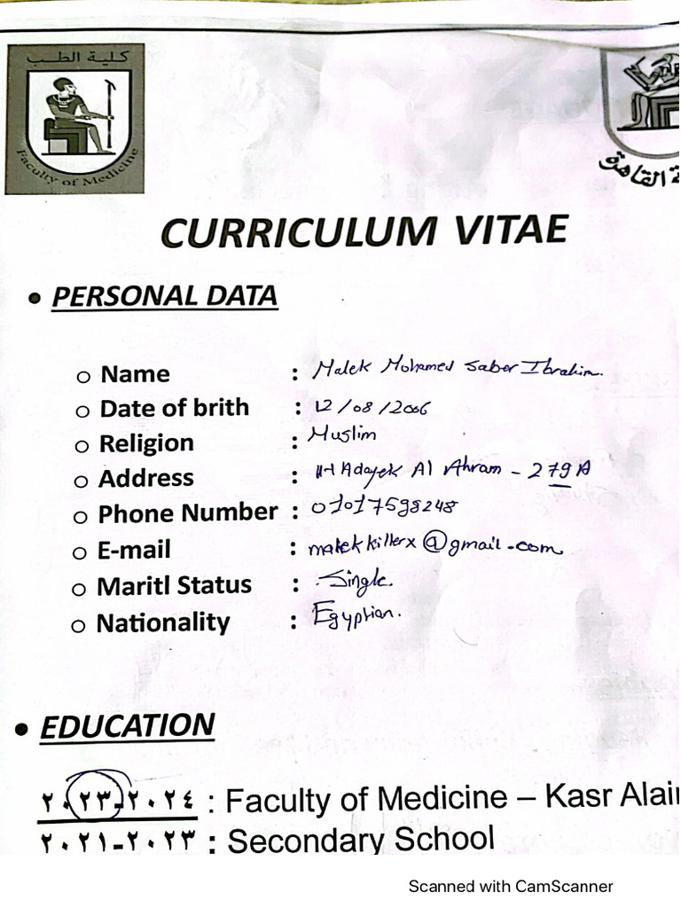 Malek Mohamed - 20241489 - Portfolio | PDF