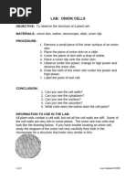 Observing Onion Cells Under Microscope | PDF