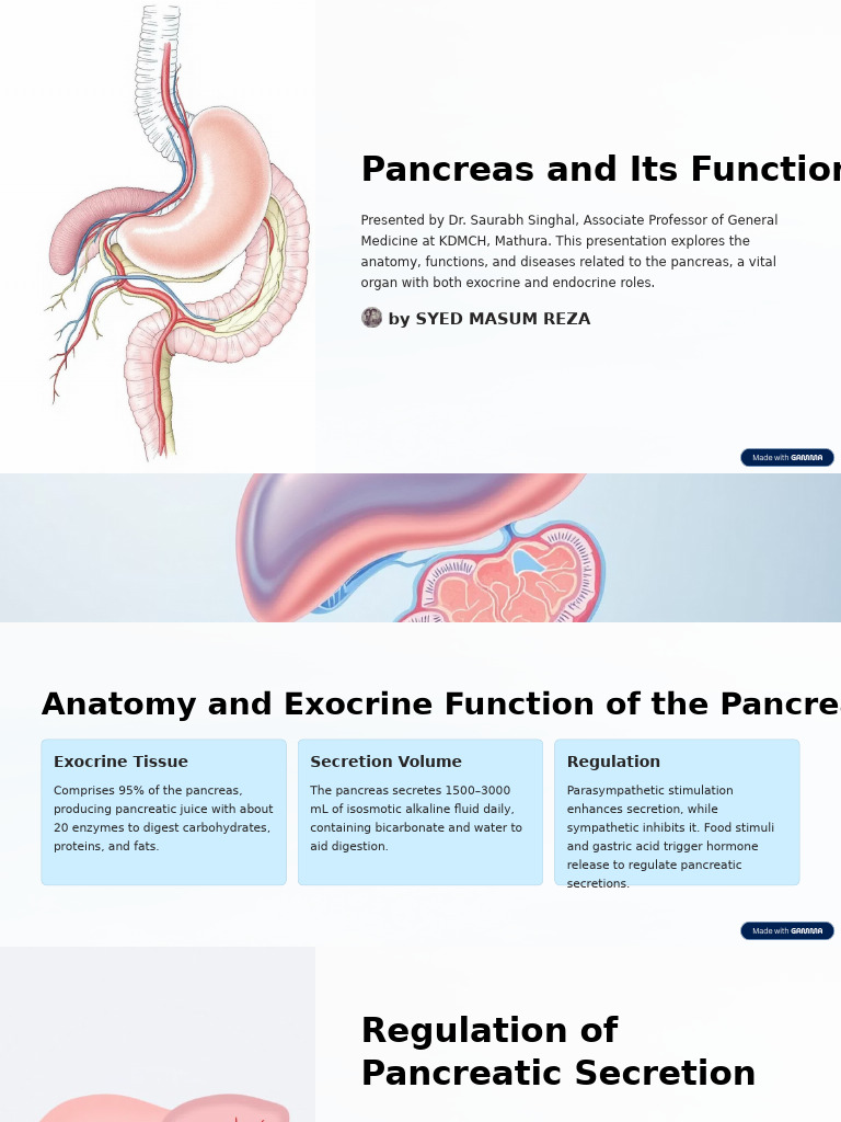 Pancreas and Its Functions | PDF | Pancreas | Digestion