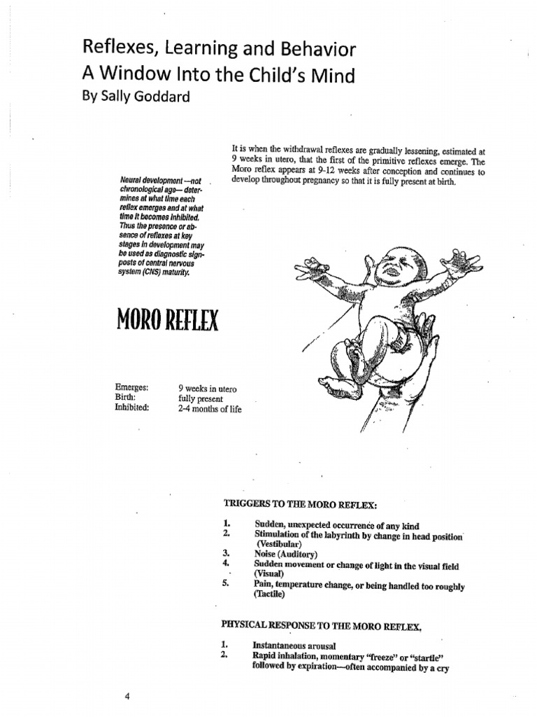 Suzanne Day Reflexes Learning Behavior | PDF