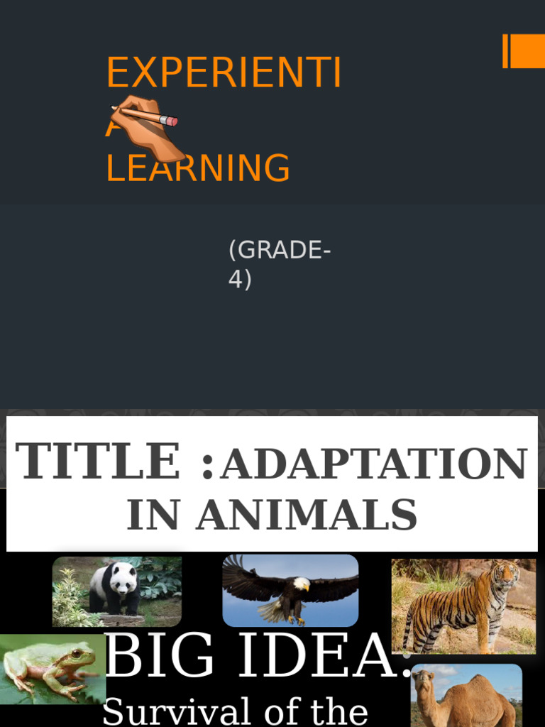 ELP Project Work - Adaptation in Animals (Science) | PDF | Habitat ...