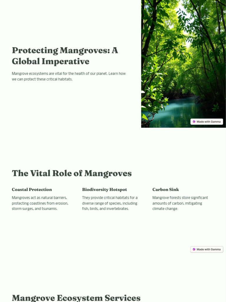 Protecting Mangroves A Global Imperative 2 | PDF | Mangrove ...