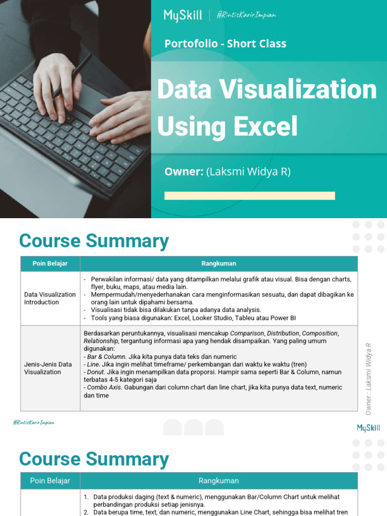 Mini Task SC Excel - Data Visualization | PDF