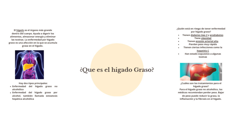 ¿Que Es El Higado Graso | PDF