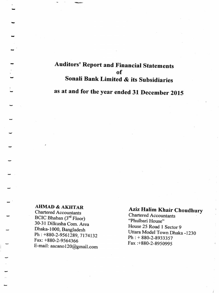 Auditors Report Financial Statement 2015 | PDF | Audit | Internal Control