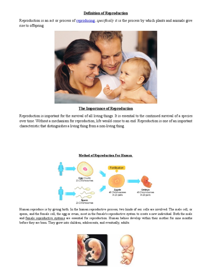 Human Life Cycle | PDF | Reproduction | Female