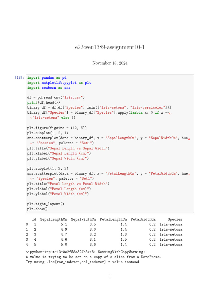 E22cseu1389 Assignment10 1 | PDF | Support Vector Machine | Statistical ...