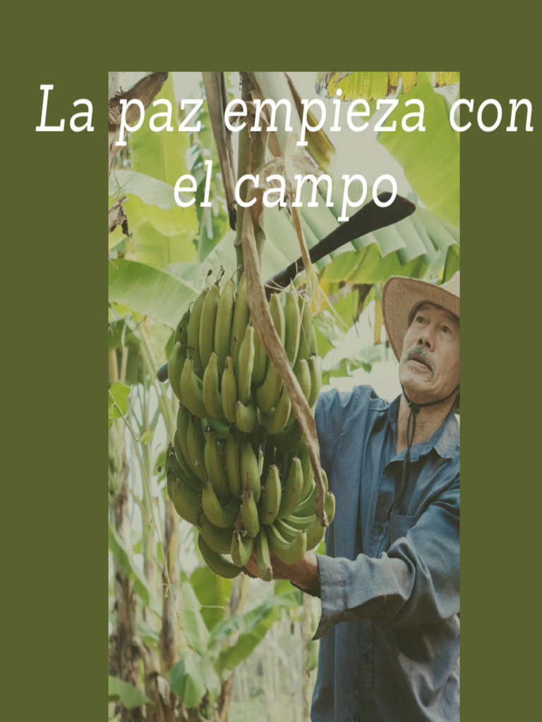La Paz Empieza Por El Campo | PDF
