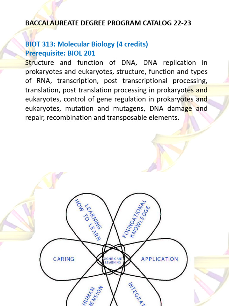 Central Dogma in Molecular Biology | PDF | Rna | Dna