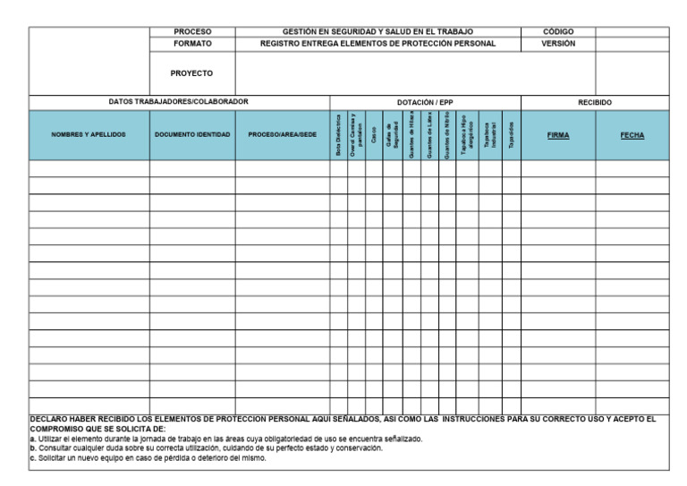 Control Epp Guia | PDF