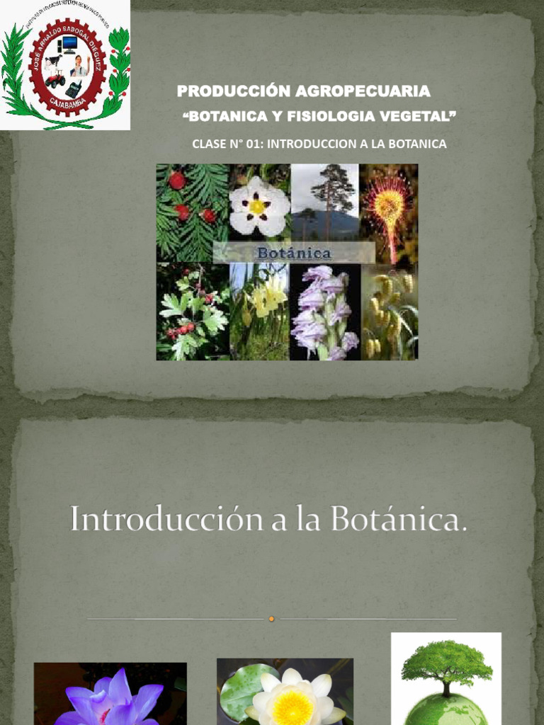 Semana #01. Introduccion A La Botanica | PDF | Plantas | Botánica