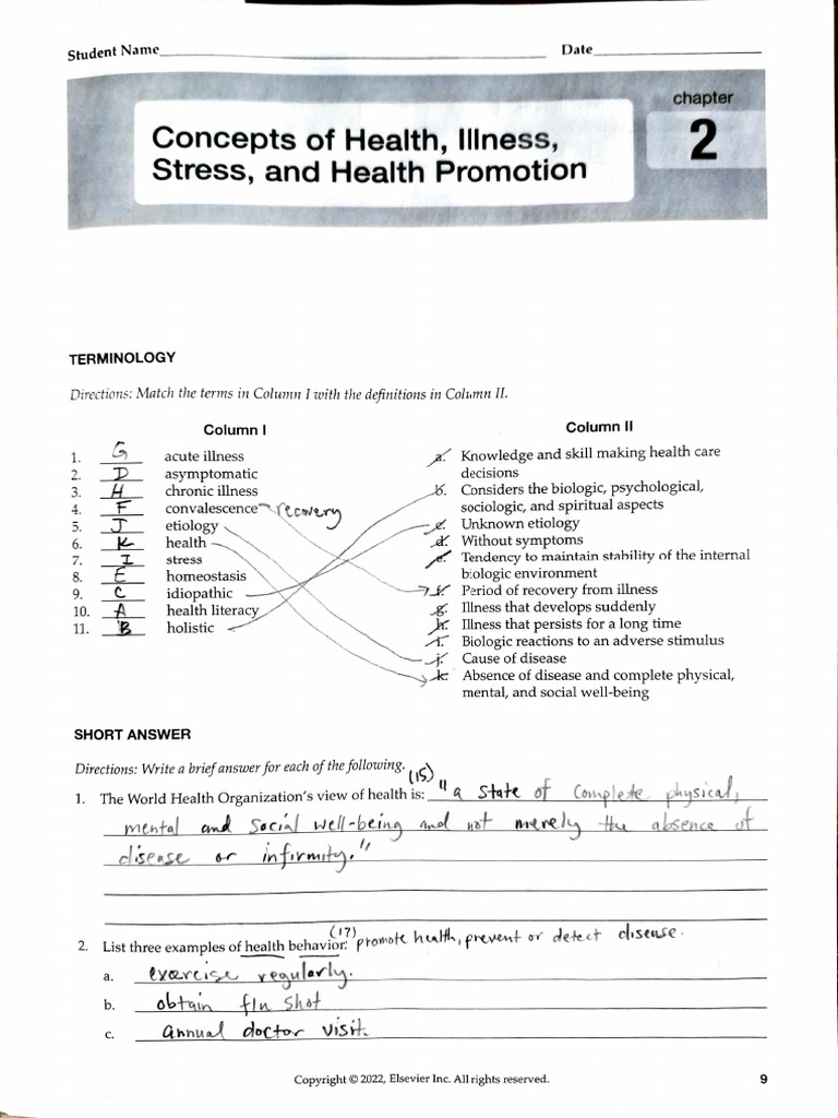 Health Concepts and Nursing Strategies | PDF | Stress (Biology ...