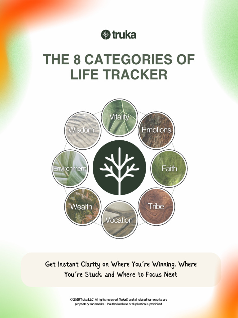 The 8 Categories Tracker Updated | PDF