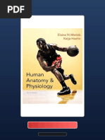 Human Physiology An Integrated Approach 8th Edition Full Download | PDF ...