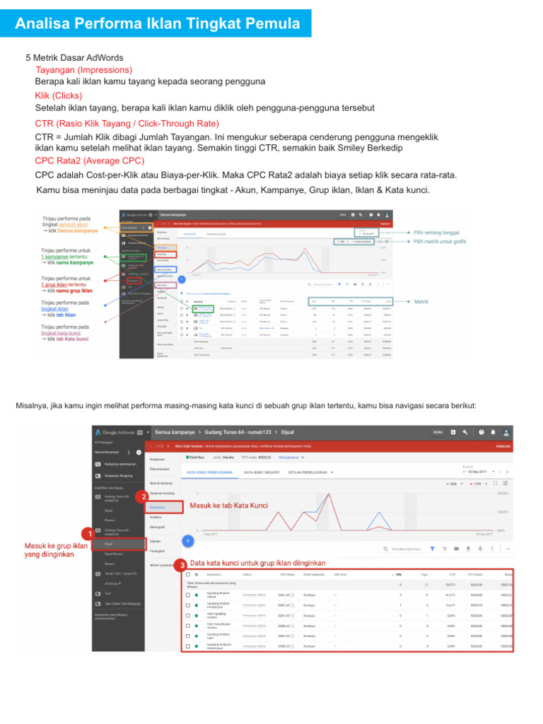 Analisa Performa Iklan Tingkat Pemula | PDF