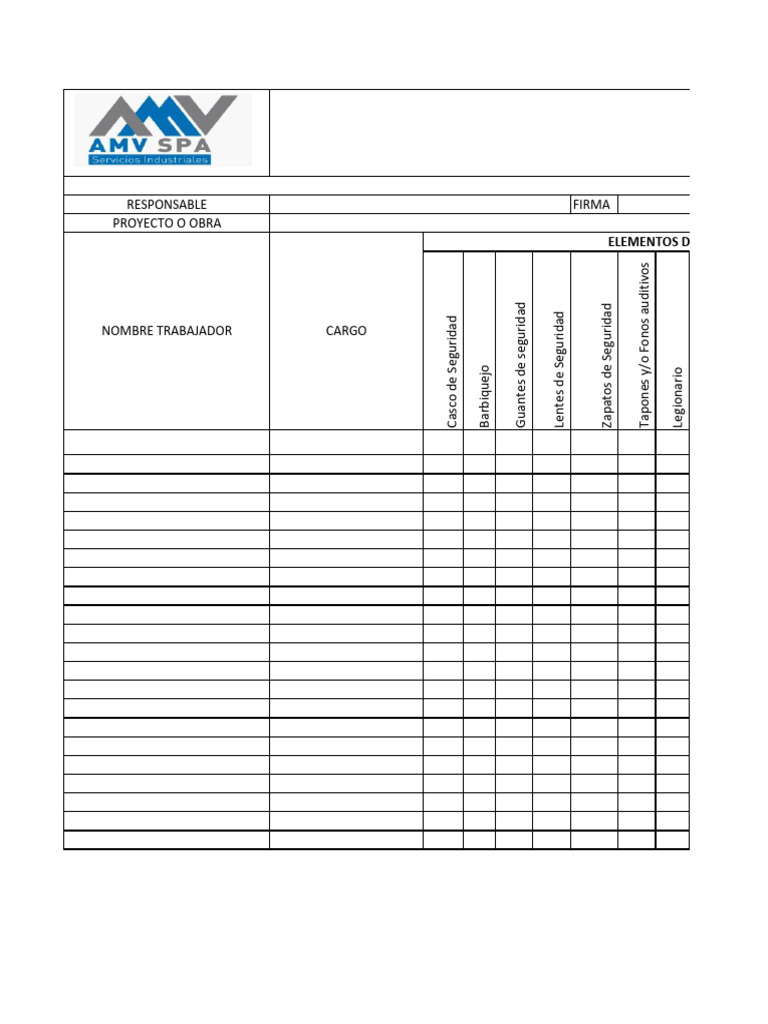 Inspeccion de Epp 2025 | PDF