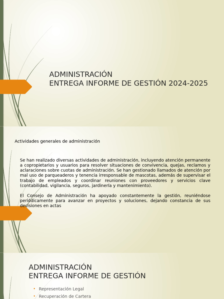 Informe Admon | PDF