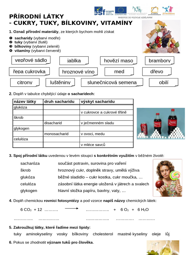 03 Ch9 Doc Prirodni Latky Opakovani Pracovn List | PDF