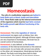 Homeostasis Notes Grade 12 | PDF | Homeostasis | Kidney