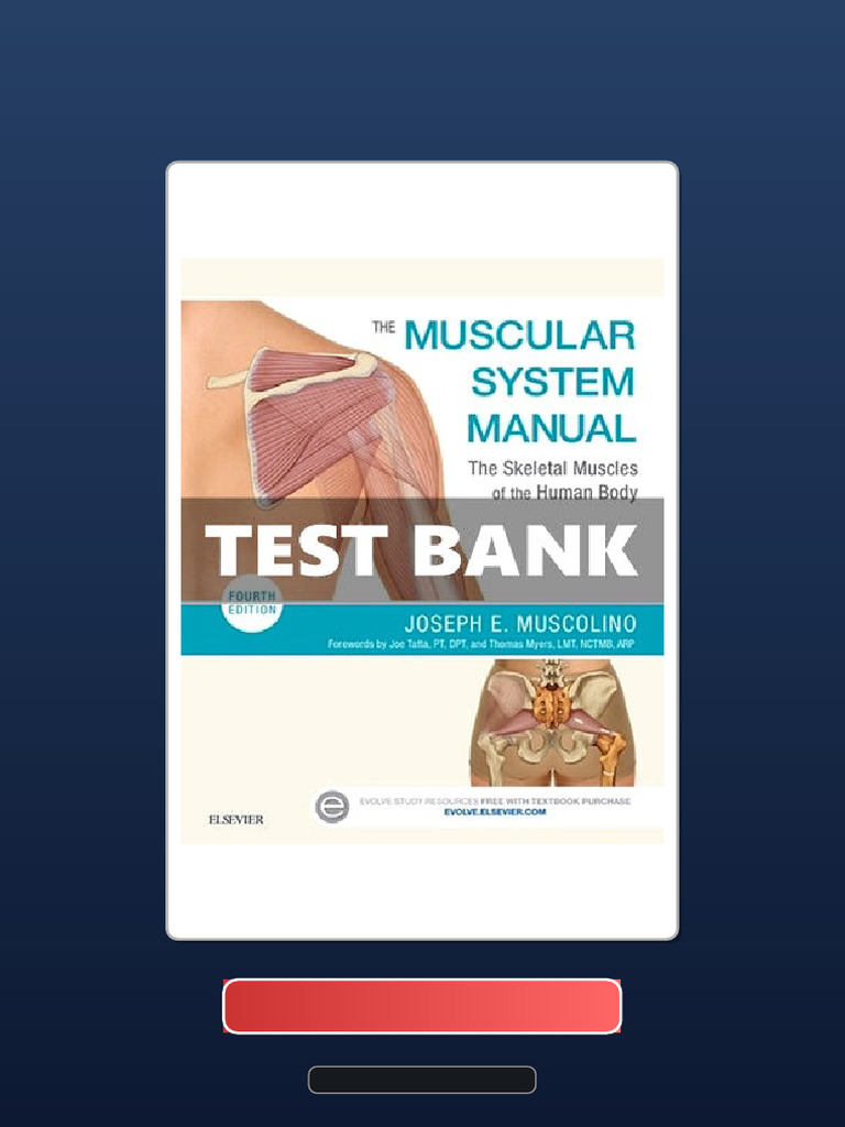 Complete Bundle Muscular System Manual 4th Edition Muscolino eBook and ...